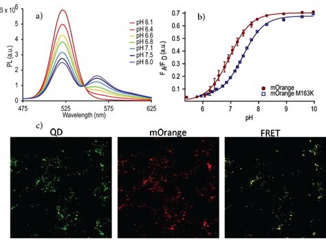 A Qd Morange Fp Probe Emission Modulation As A Function Of Ph B Download Scientific