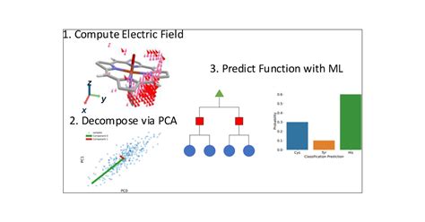 Machine Learning Prediction Of Protein Function From The Portrait Of Its Intramolecular Electric