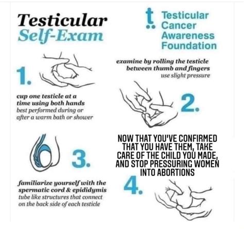 Testicular Self Exam Cup One Testicle At Time Using Both Hands Best