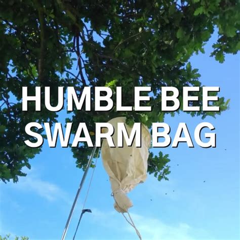 Swarm Bag Humble Bee Farm