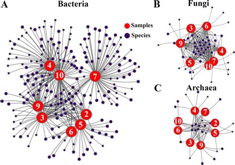 Co-occurrence network analysis of bacteria (A), fungi (B) and archaea ...