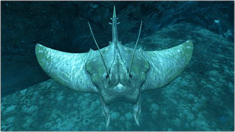 Ark Manta Abilities Controls Taming Food Saddle Breeding And Location Progametalk
