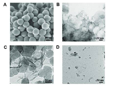 a sem image of sio 2 nh 2 nss b tem image of mno 2 nanosheets download scientific