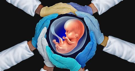 Synthetic Human Embryo Raises Ethical Issues Advanced Human Embryo
