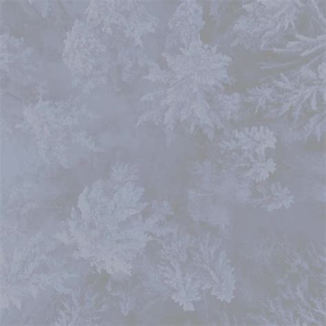 Dee Mistry On Linkedin Merry Christmas Everyone