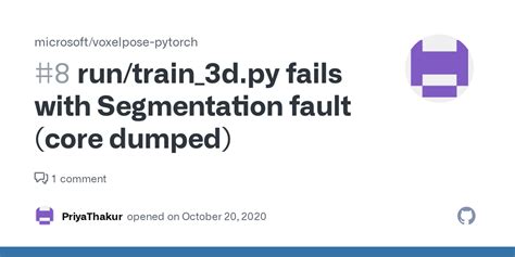 run train 3d py fails with segmentation fault core dumped · issue 8