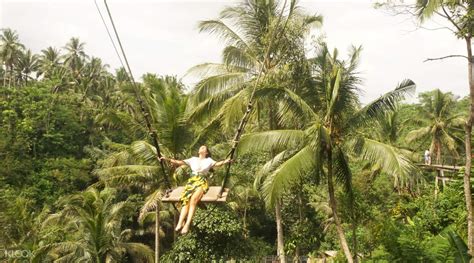 Uma Pakel Swing In Tegalalang Indonesia