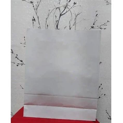 Plain White Loop Handle Paper Bag For Shopping At Rs 805piece In