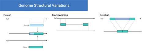 Sanger Sequencing Vs Next Generation Sequencing Ngs Genscript