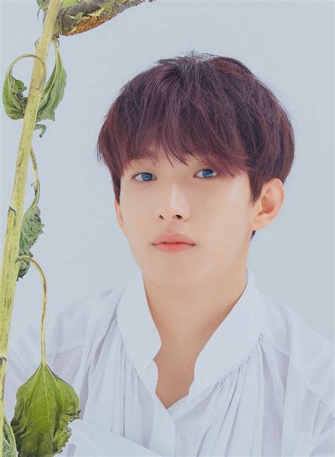 Seventeen Dk Dokyeom You Made My Dawn Ymmd Dawnver Wallpaper