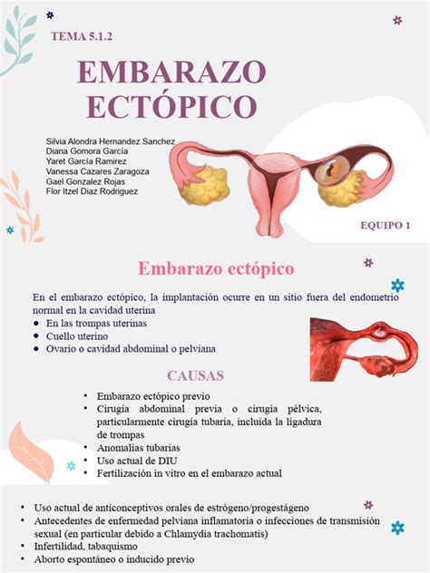Embarazo Ectopico Completo Pdf El Embarazo La Salud De La Mujer