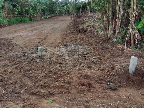 Sqm Residential Farm Lot For Sale In Alfonso Cavite Lot August In Alfonso Cavite