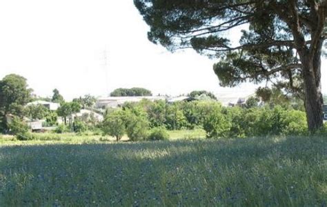 Montpellier à vélo les plus belles balades Idées voyage