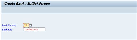 SAP FI Bank Key