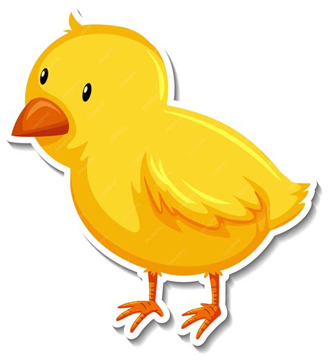 Clipart Chicks