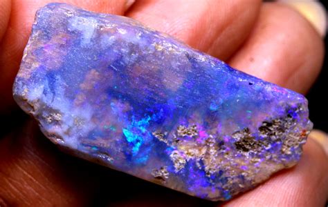 2770 Cts Opalised Fossil Wood Fo 705