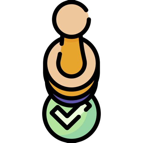 Validation Special Lineal Color Icon