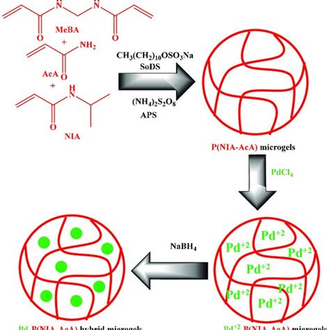 Synthesis Of Palladium Nanoparticles In Already Synthesized Pnia Aca
