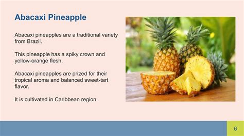 varietal classification of pineapple ppt