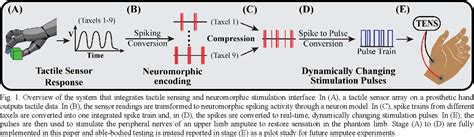 Figure 1 From Real Time Dynamic Sensory Feedback Using Neuromorphic