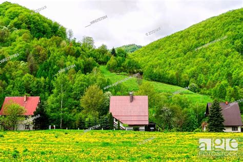 Eco Zone, Stock Photo, Picture And Royalty Free Image. Pic. WR0757384 ...