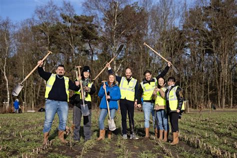 Cirro E Commerce Doet Mee Aan De Boomplantdag Van Trees For All En