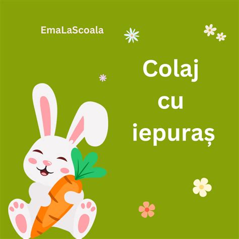 Colaj Cu Un Iepuras