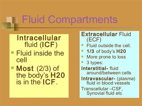 Fluid And Electrolyte Balance Powepoint Fluid And Electrolytes