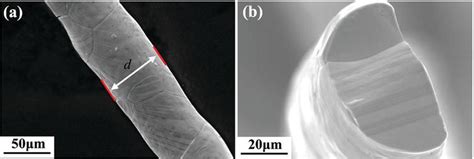 Ferromagnetic Shape Memory Alloys Foams And Microwires Intechopen