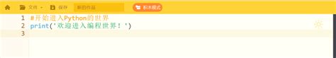 零基础学python 1海龟编辑器网页版 Csdn博客