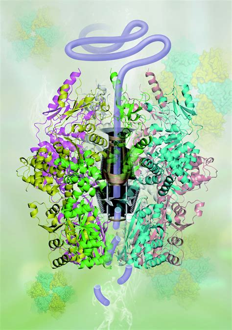 Atp Fueled Protein Machines Protein Research Laboratory