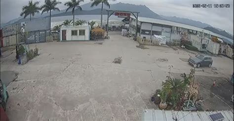 馬鞍山被輾死狗狗 傳獸醫診所拒受理痛足一小時 香港動物報 Hong Kong Animal Post
