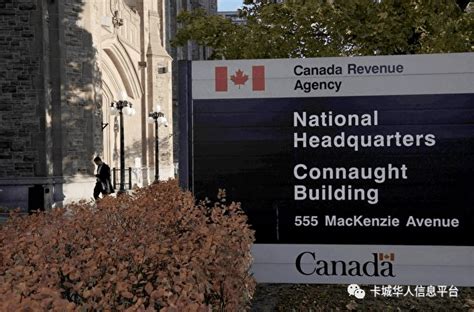 加拿大人减收入避税？税局发出警告骗局