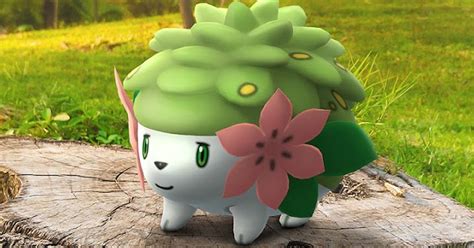 Pokémon Go Como Obter Shaymin Gratuitamente Hoje Na Sua Nova Missão