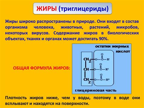 Липиды Строение функции и значение липидов презентация онлайн
