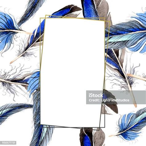 고립 된 날개에서 새 깃털 수채화 배경 그림 집합입니다 프레임 테두리 장식 광장 0명에 대한 스톡 벡터 아트 및 기타 이미지 0명 검은색 깃털 Istock