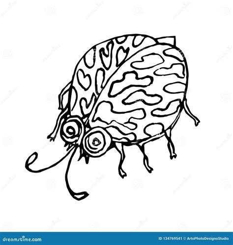 Funny Spotted Ladybug Hand Drawn Doodle Black And White Sketch Stock