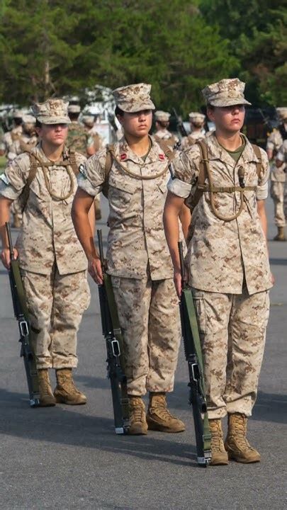 Usmc Ocs Study The Candidate Regulations Youtube
