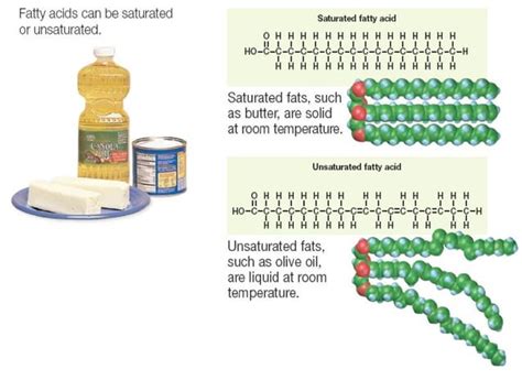Macromolecules Ppt