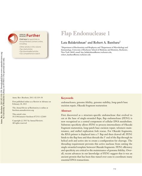 PDF Flap Endonuclease 1