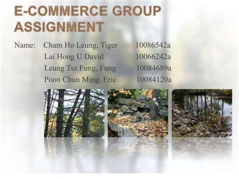 E Commerce Group Assignment Pptx