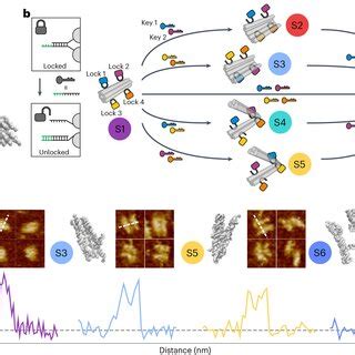 Design And Characterization Of The DFSM A Three Dimensional All Atom