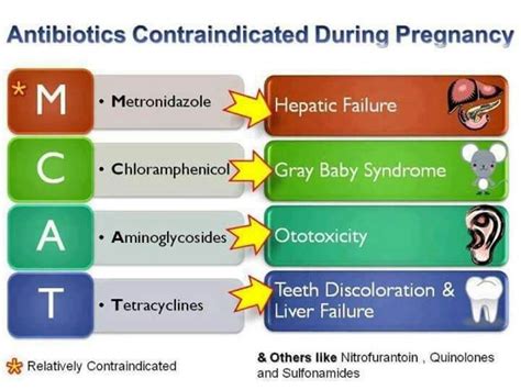 Antibioticos Contraindicados En Embarazo Nursing School Survival
