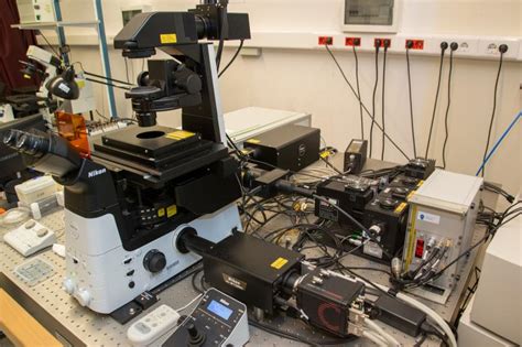 Nikon Picoquant Flim Mikroszkóp Biofizikai és Sejtbiológiai Intézet
