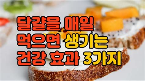 달걀을 매일 먹으면 생기는 건강 효과 3가지 건강 건강상식 건강정보 계란 Youtube