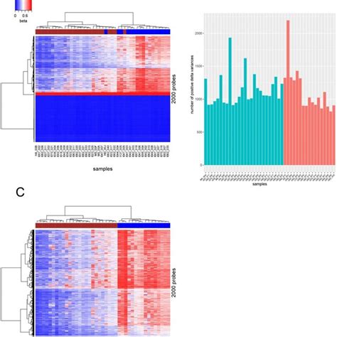 Initial Unsupervised Hierarchical Clustering Of 2000 Probes A In All Download Scientific