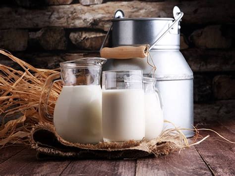 Hari Susu Sedunia Simak Manfaat Minum Susu Bagi Kesehatan Tagar