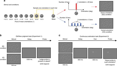 集合表示法揭示了视觉工作记忆的独特神经编码。 Nature Communications X Mol