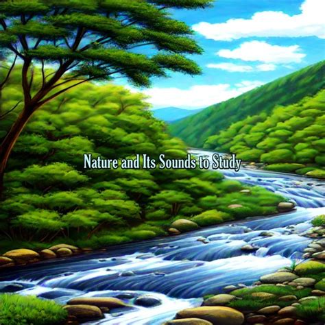 Stream Studying Concentrated With The Sound Of Nature By Meditation
