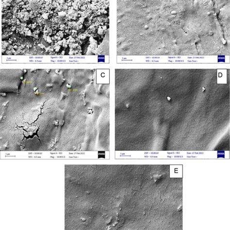 Ftir Spectra For Peo Pvasrtio3coo Ncs A Peo Pva Blend B